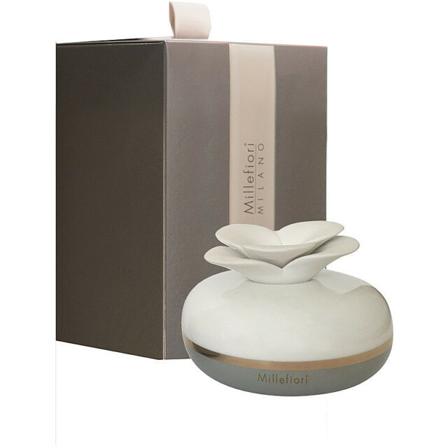 I 10 migliori profumatori per l’ambiente | GioiaPura